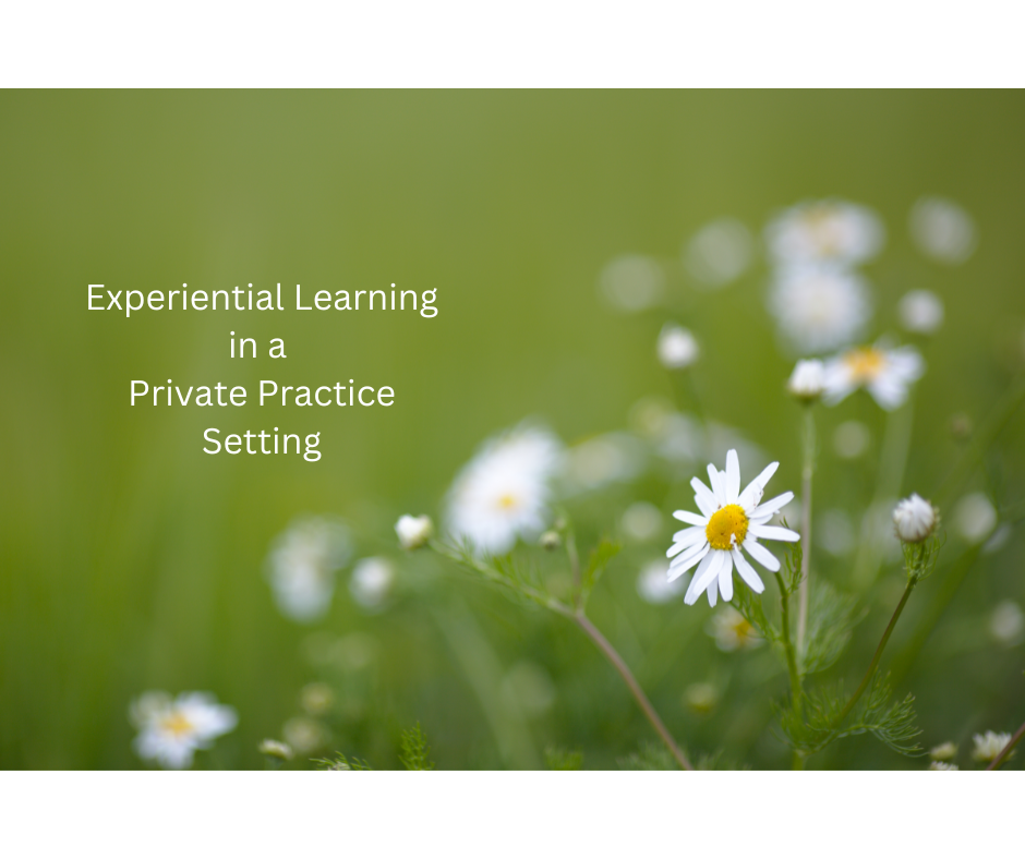 Internships – Inner Intelligence